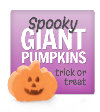 spooky-pumpkins-callout | Campfire Marshmallows