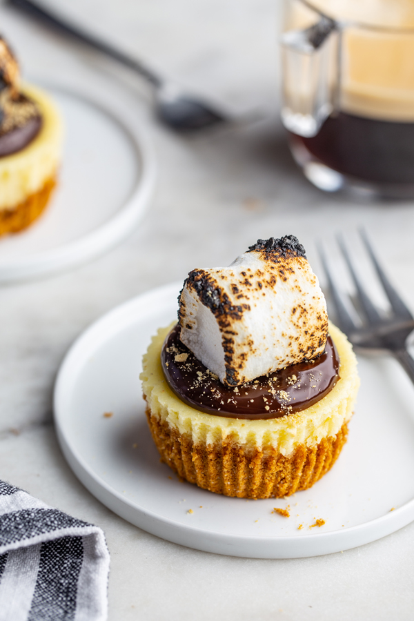 Mini S’mores Cheesecakes | Campfire Marshmallows